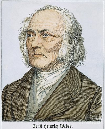 ERNST WEBER (1795-1878)