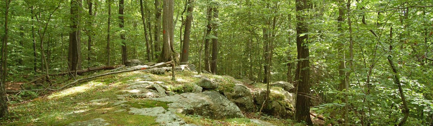 To print the story please do so via the link in the story toolbar.