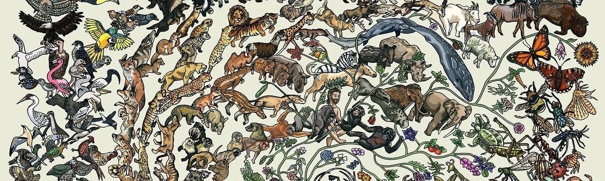 To print the story please do so via the link in the story toolbar.