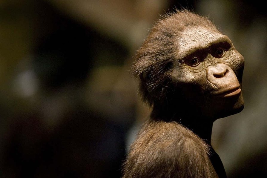 Hominins (6 or 7 million years ago)