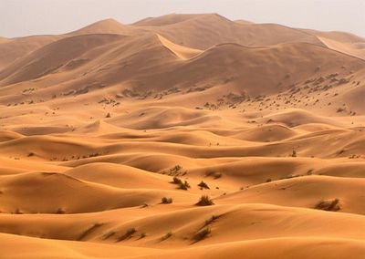 This is the An-Nafud Desert.