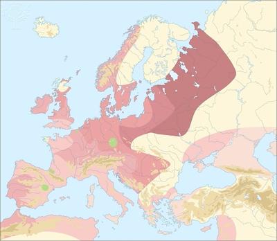 Black Death in Europe, 14th century. Photograph. Britannica ImageQuest ...