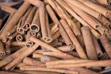 How cinnamon was used during early civilizations:
