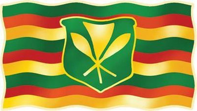 Hawaii's original flag