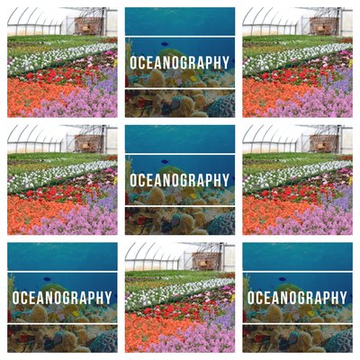 one of Cathrine's goals is to get a really great career after college ...