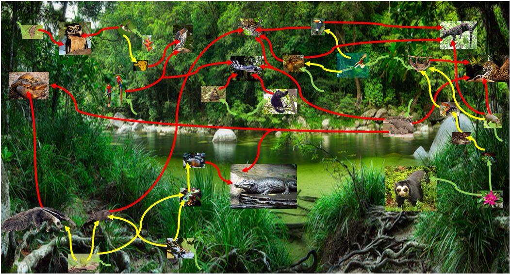 Can you trace all the connections?