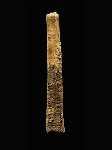 This is the Ishango bone.