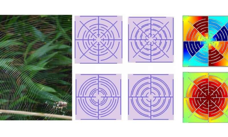 https://phys.org/news/2017-10-spider-web-labyrinths-noise-pollution.html