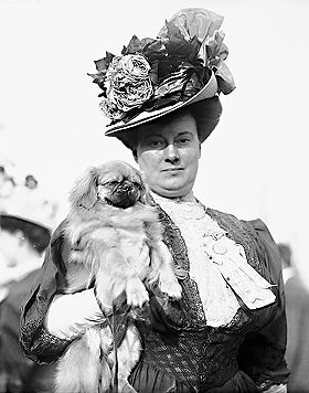 19th Century AD - Pet keeping as we know it today began in the ...