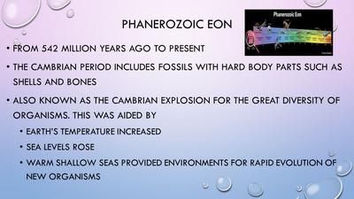 Phanerozoic Eon. This was the 4th eon and the eon where the 'Cambrian ...