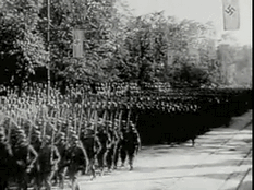 Germany use all their forces at once to attack Poland.