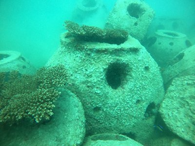 some of our 'coral balls' (artificial reefs) at about 14m.