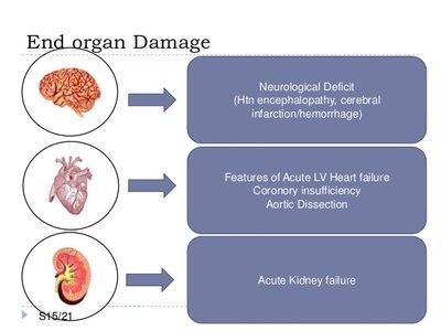 End-Organ Damage