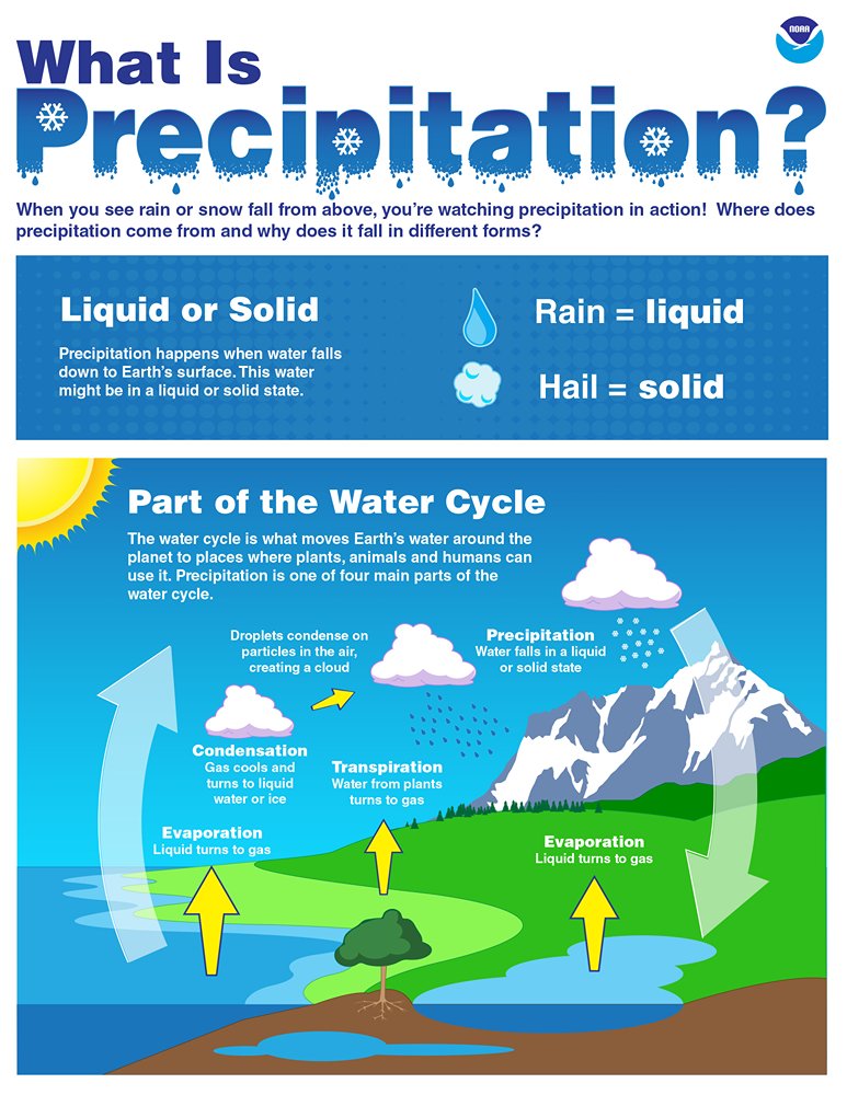 The Water Cycle