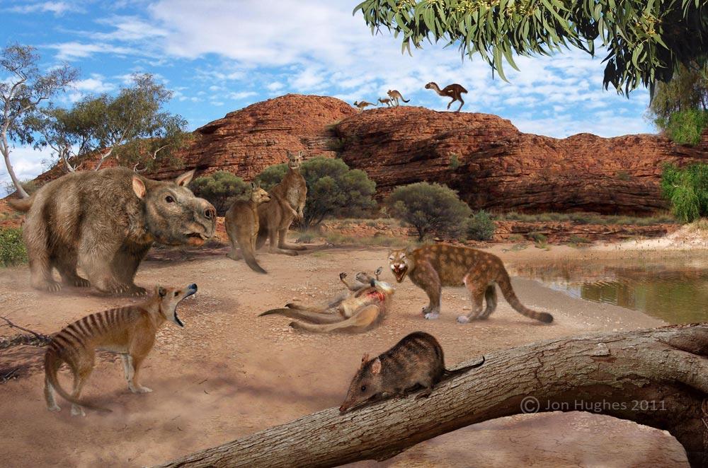 During the Cenozoic Era in the Phanerozoic Eon, the tenth period, the ...