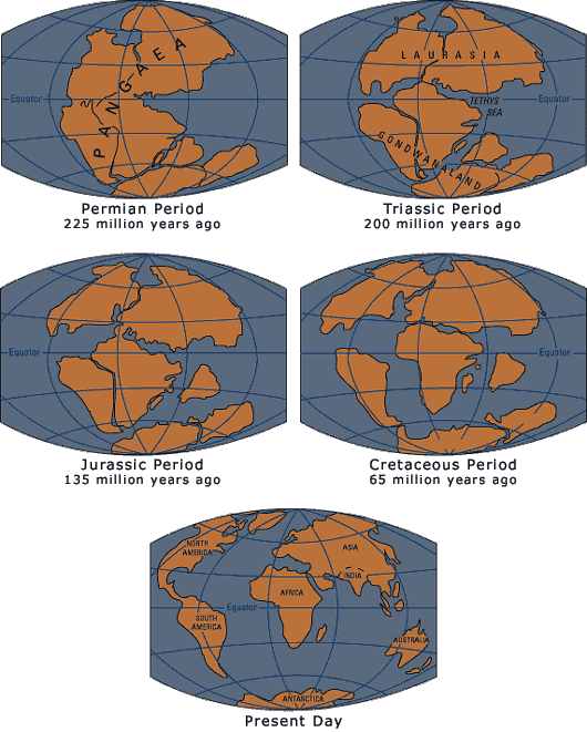 The continents we have today were once all together in Pangaea.
