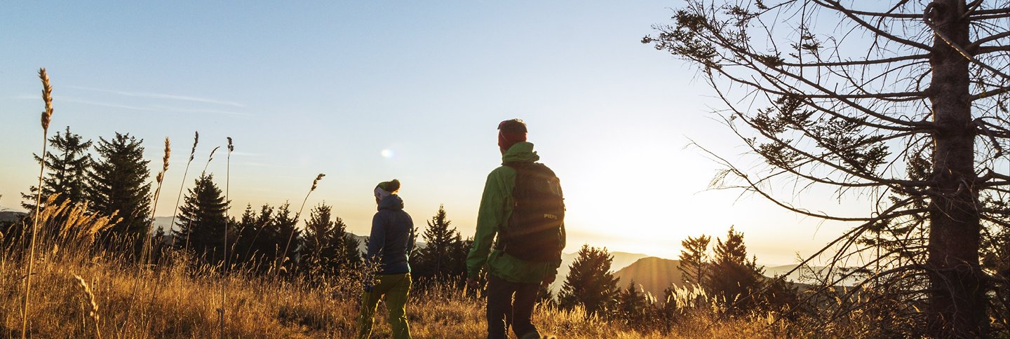 To print the story please do so via the link in the story toolbar.