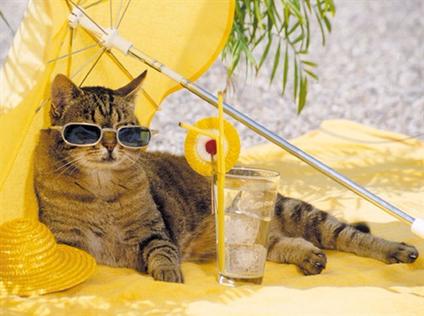 Phillip cleaned up on the beach because the storm had trashed it. He ...