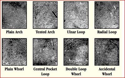Fingerprint patterns are noticed - 1686