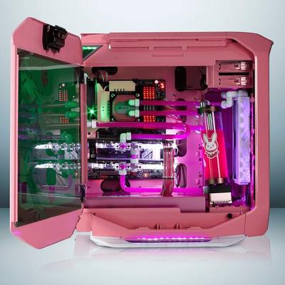 a perfect D.Va computer