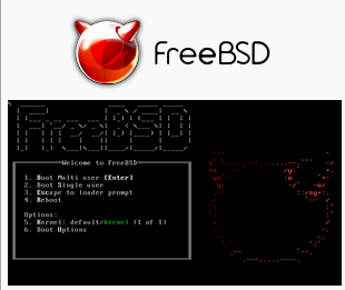 1993 - FreeBSD