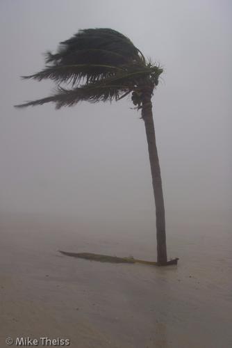The storm had hit land and it was worse than anything imagined. The ...