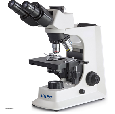 Standard Light Microscope