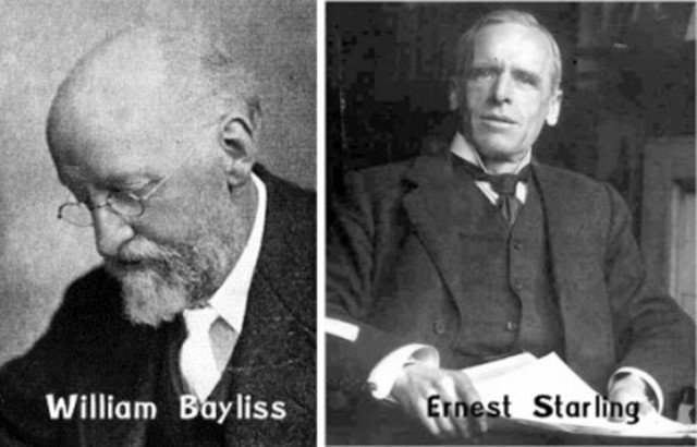 William H.Bayliss y Ernest H.Starling