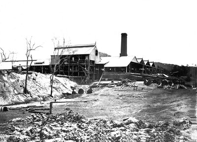 1986 - Lower Works (Mears Chlorination process) in production