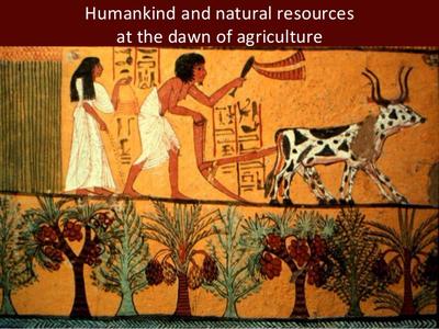Dawn of Agriculture- 9,000 BCE