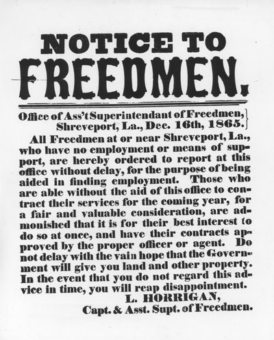 (http://www.freedmen.umd.edu/Horrigan.html)