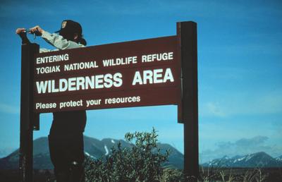 1963 : Wilderness Act