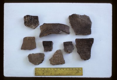 Potsherds Source: Maryland Archaeological Conservation Lab