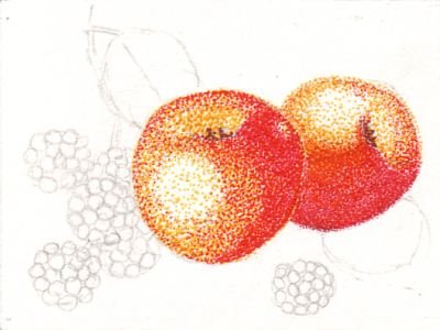 Start stippling your still life, using different shades of markers ...