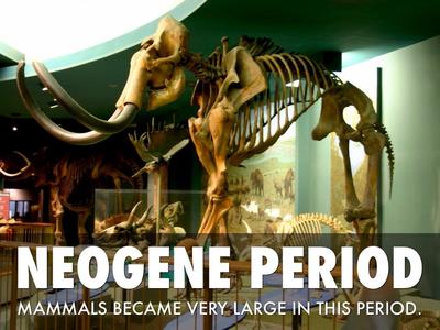 Neogene Period: