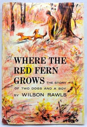 During Your Childhood, what was your Favorite Book?