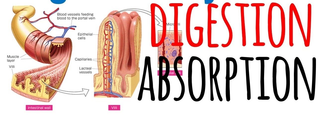 To print the story please do so via the link in the story toolbar.