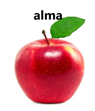 Jelöld a kiemelt szóval megegyezőt!