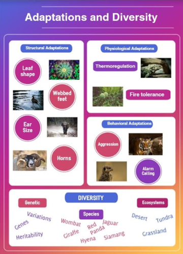 Julee created this simple infographic that briefly describes different ...