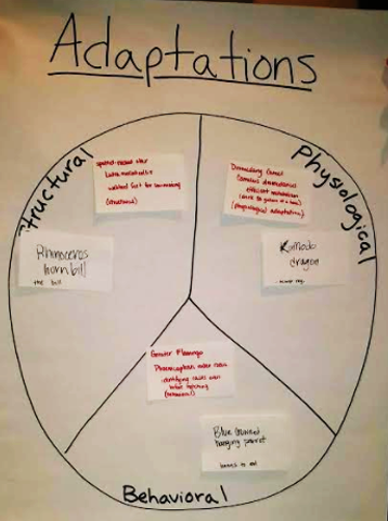 Alison led the group as the teams talked about the species they found ...