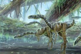 Two groups of animals survived the extinction from the Permian period.