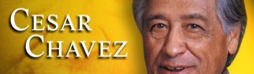 To print the story please do so via the link in the story toolbar.