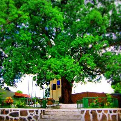 You can find a lot of history in the city, one of them is the history ...