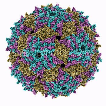 1972: Walter Fiers y su equipo, en el Laboratorio de biología molecular ...