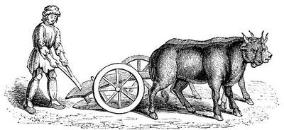 They introduced the IRON PLOUGH , wich made the cultivation of the soil ...