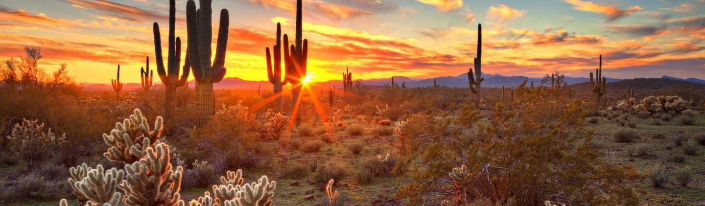 How Arizona came to be