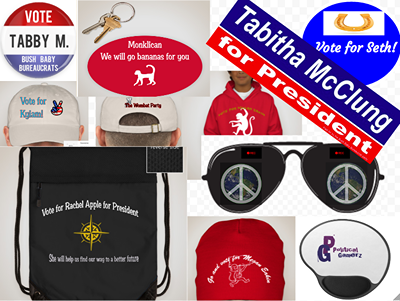 Student Campaign Materials Examples