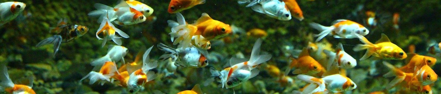 Экскурсия по квесту