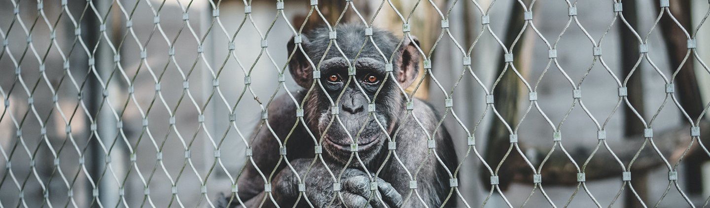 To print the story please do so via the link in the story toolbar.