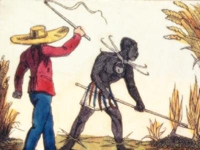 Implementation of the Barbados Slave Code